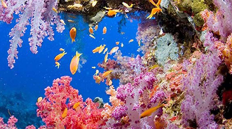 Amos Rock | Visit Philippines by Travelindex