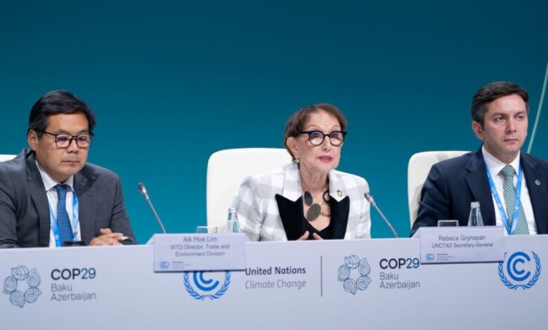 UN Trade and Development Leads COP29 Baku Initiative for Climate Action ...